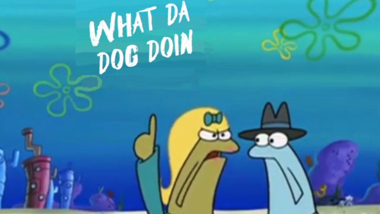 What da dog doin - YouTube