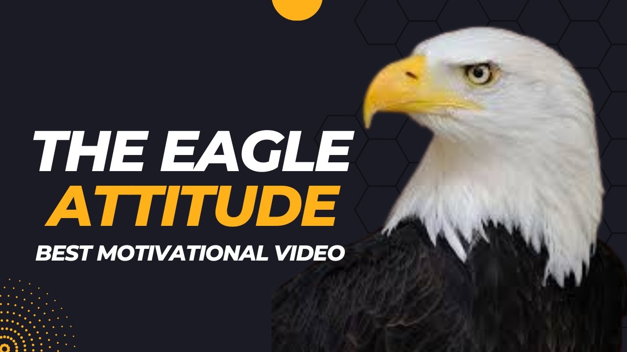 The Eagle Attitude (Mindset) - Most Powerful Motivational Story - YouTube