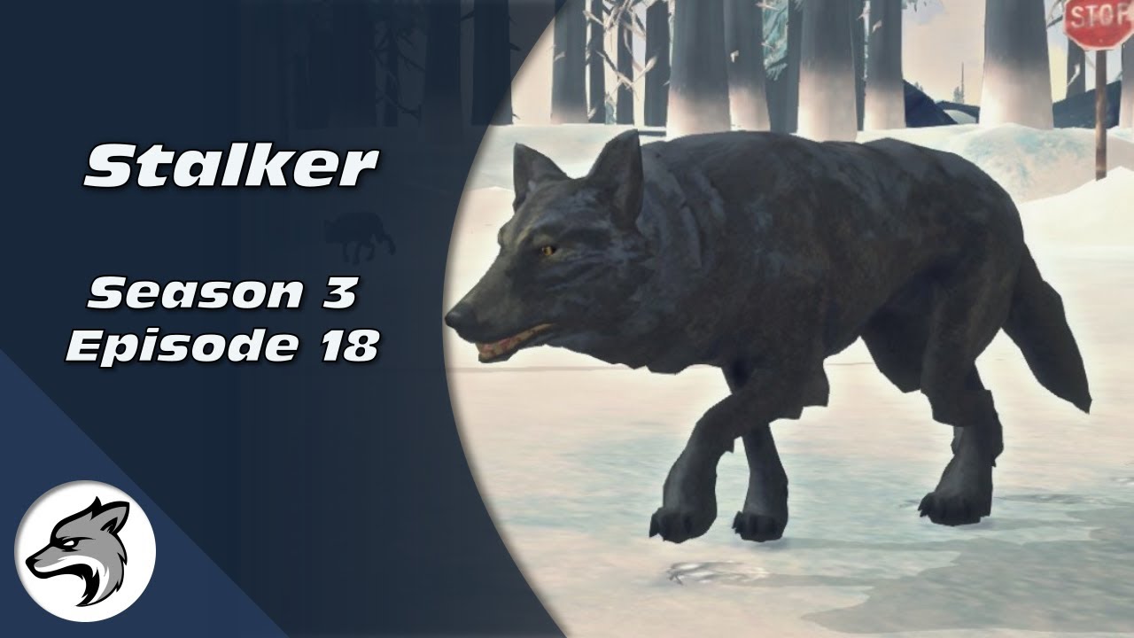 The Long Dark: Stalker | Preparing to Summit - YouTube