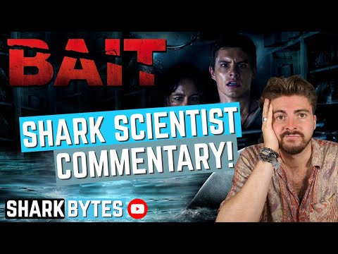 Watch 'BAIT' with a Shark Scientist! (Movie Commentary & reaction)