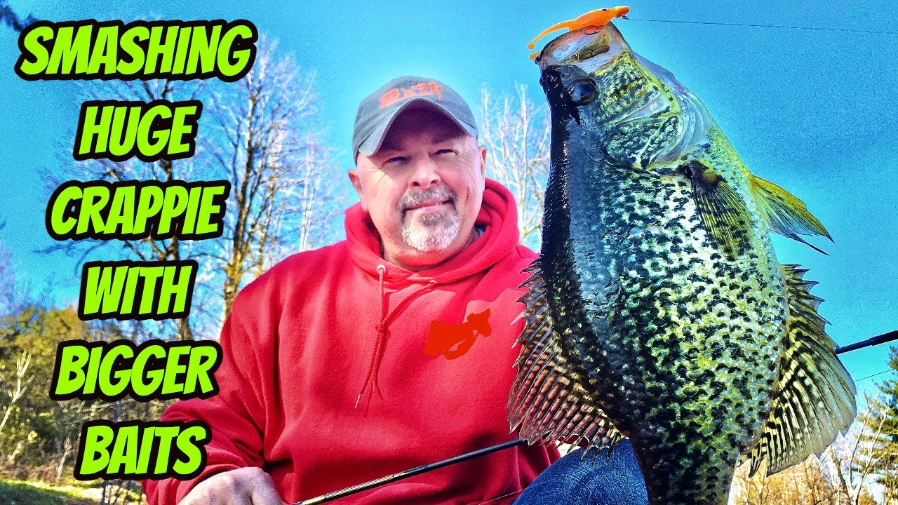 HUGE CRAPPIE WITH BIGGER BAITS IN SHALLOW WATER- How to Catch BIG ...