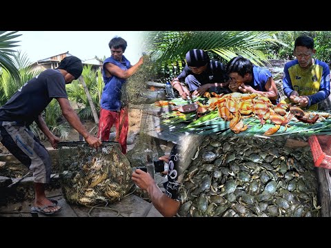 PANEN KEPITING!! pondok panen jadi lautan kepiting,masak kepiting di alam liar