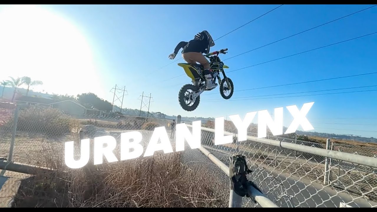 URBAN LYNX - YouTube