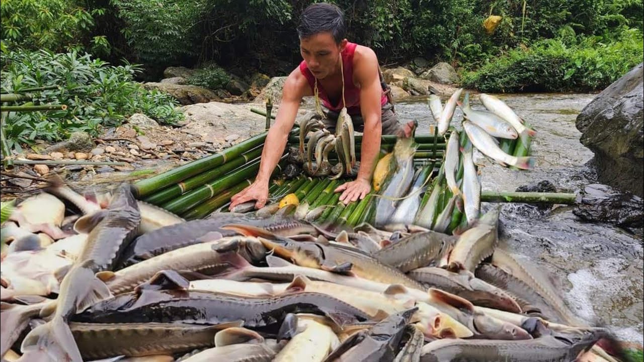 Using traditional bamboo to weave rafts to catch giant fish in the ...