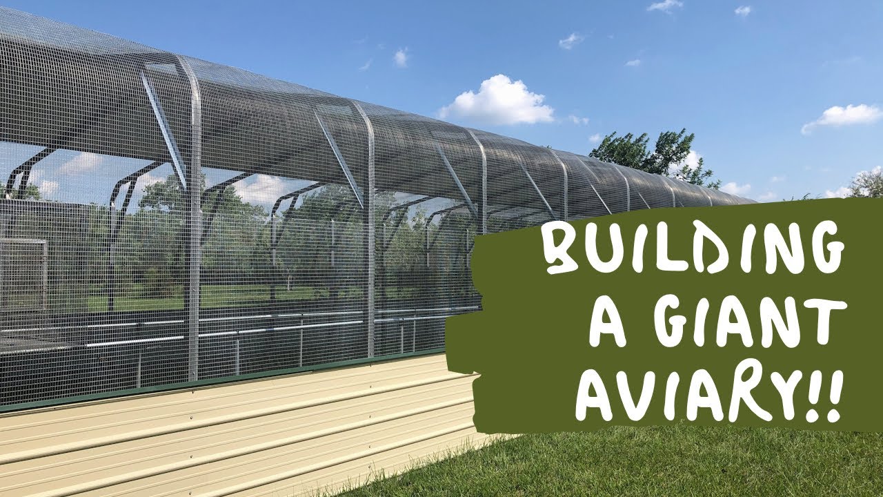 Huge Aviary