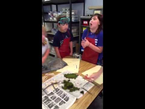 Conn Area Catholic School (2024 Profile) - Connellsville, PA