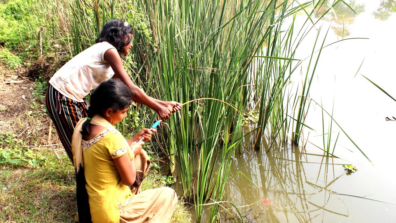 Fishing video || New traditional lady hook fishing in village pond ...