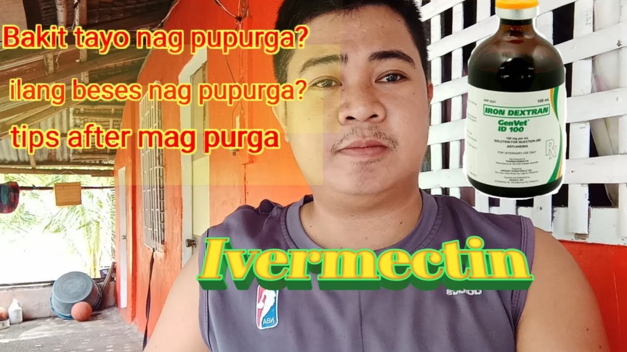 Ivermectin for pigs. Pag purga | deworming for 1 month old piglets ...