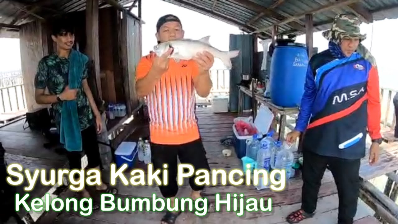 Strike banyak ikan di Kelong Bumbung Hijau Sebatu Merlimau Melaka ...