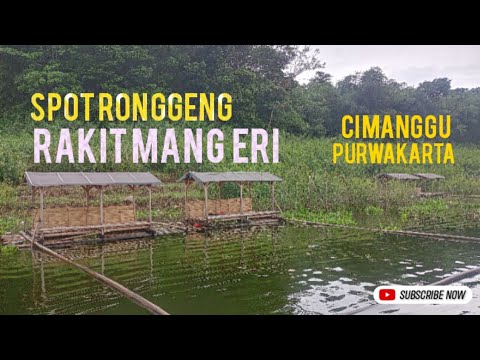spot ronggeng rakit mang Heri Cimanggu Purwakarta - YouTube