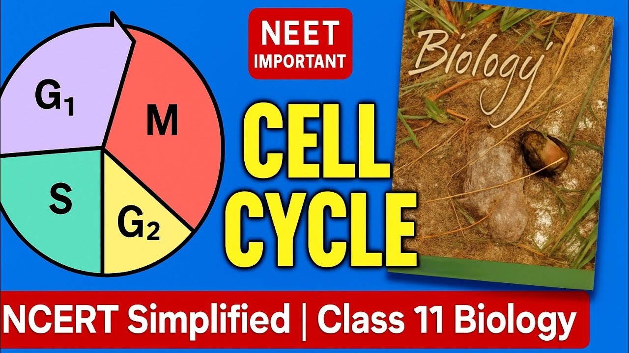 Cell Cycle And Cell Division || Class 11th || NEET || NCERT line by ...