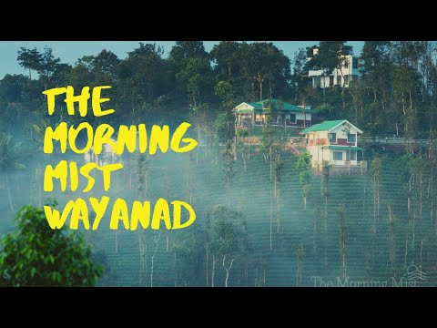 തേയില തോട്ടത്തിന്റെ നടുവിൽ ഒരു റിസോർട്ട്.The Morning mist Wayanad. # ...