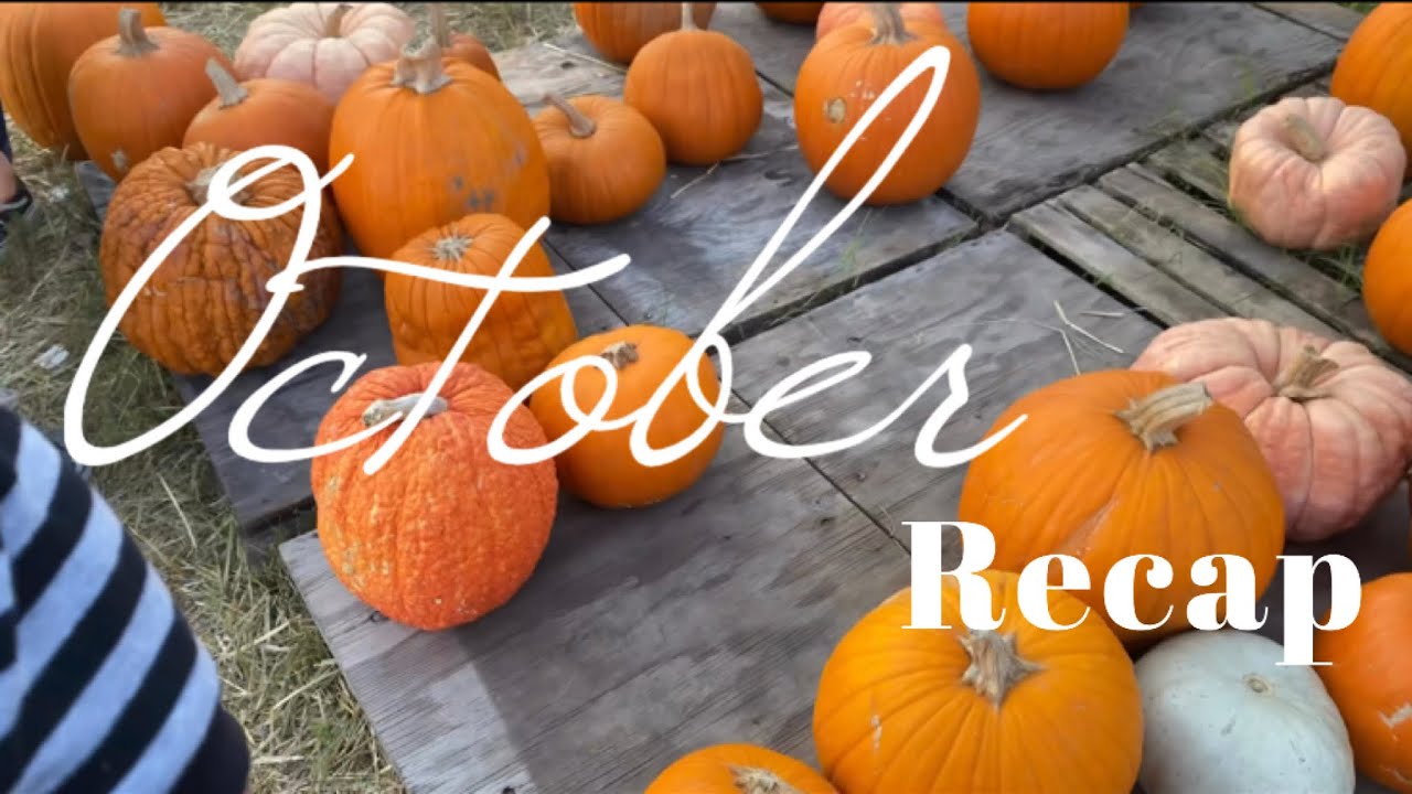 October Recap 2019 - vlog - YouTube