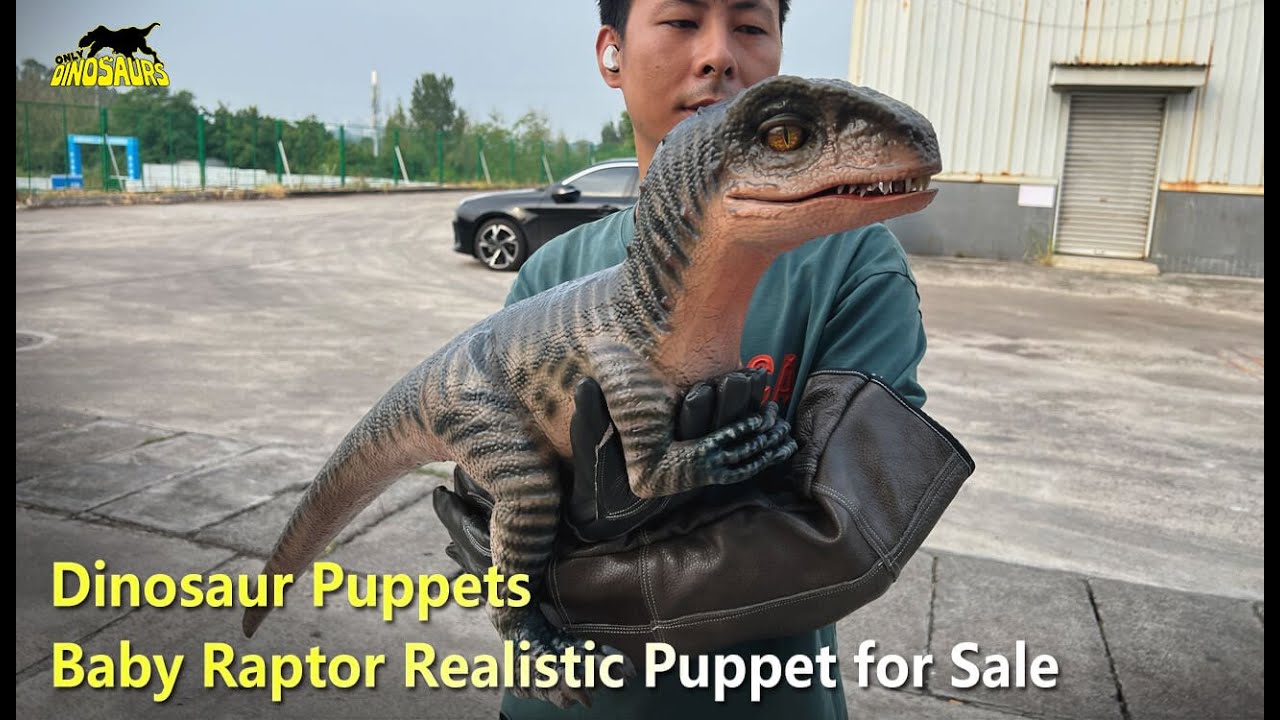 Baby Raptor Realistic Puppet for Sale | Dinosaur puppets - YouTube