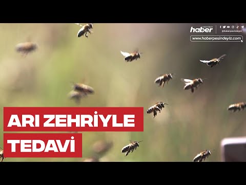 Tunuslu genç kız, ürettiği arı zehriyle bazı hastalıkların tedavisine destek oluyor
