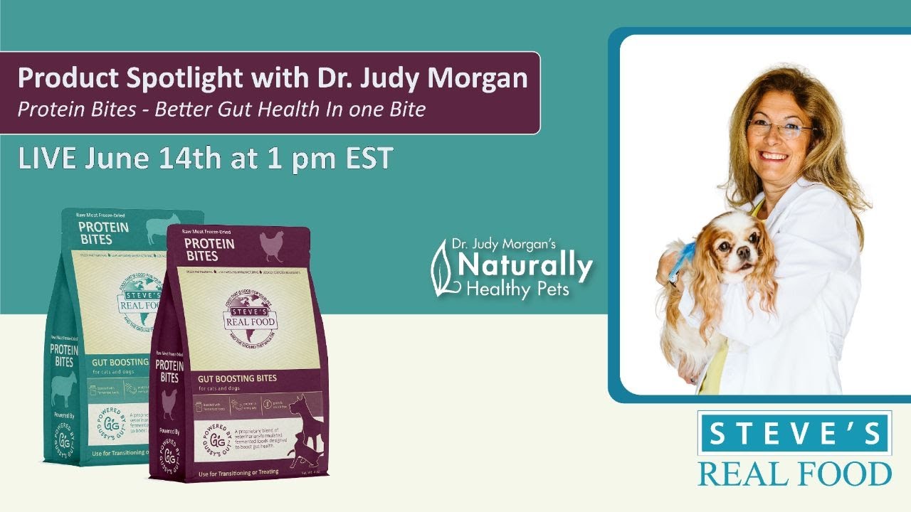 Product Spotlight Featuring Dr. Judy Morgan - Protein Bites - YouTube
