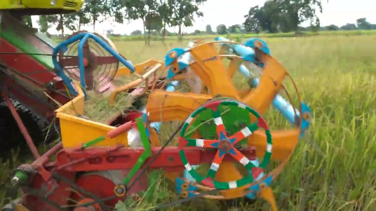 km49 เกี่ยวป่าผักบุ้ง #ศักดิ์กายพัน #รถเกี่ยวข้าวศักดิ์พัฒนา - YouTube