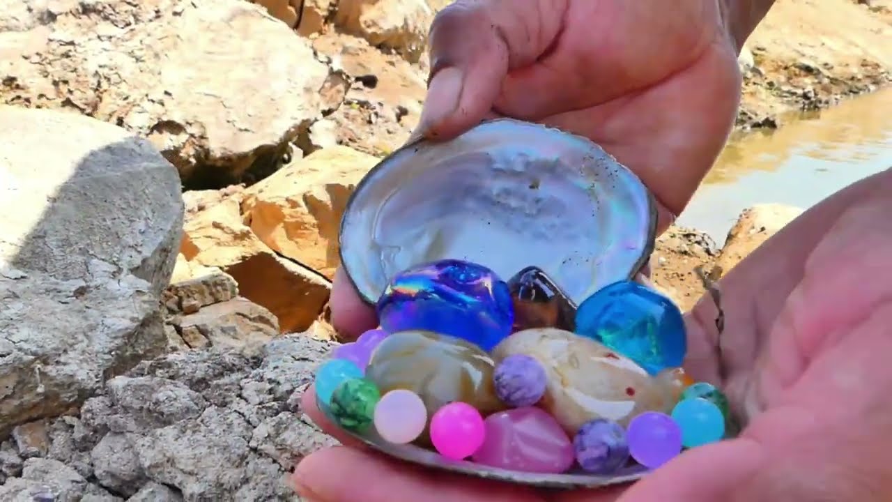 Perfect purple crab pearls! Giant sea crab with gold pearl inside# ...