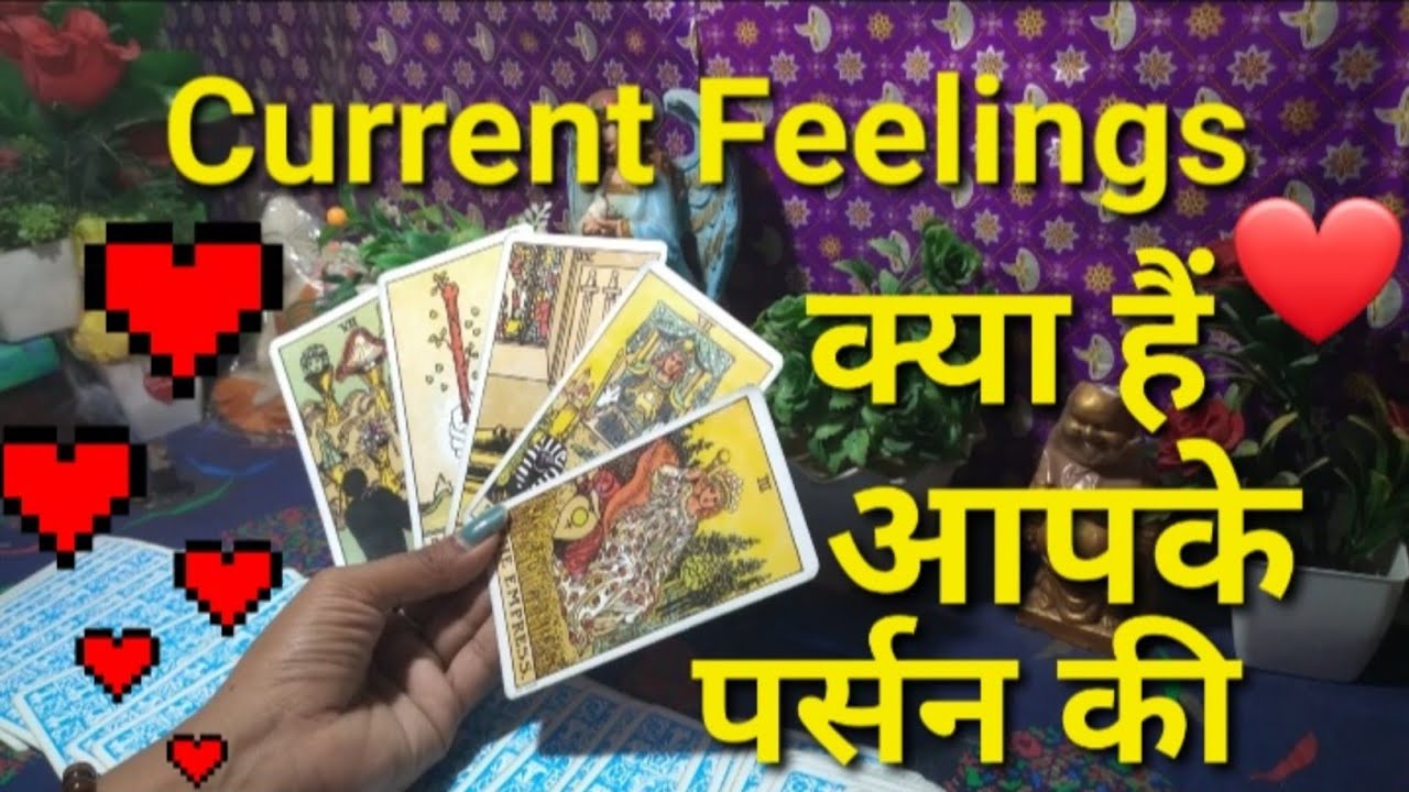 ️Current Feelings Of Your Person ️|Current Feeling Tarot🔮|Tarot Reading ...