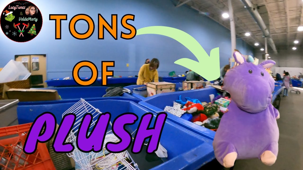 Tons of Plush at the Goodwill Bins | Huge Plush Haul | Thrifting Trip ...