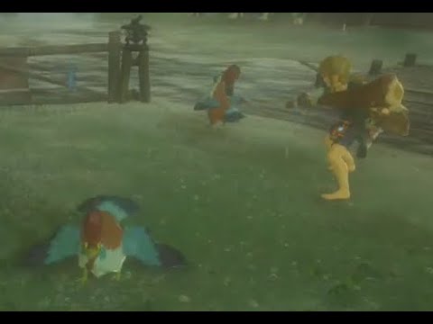 Zelda BOTW: Anger a cucco and take NO damage - YouTube