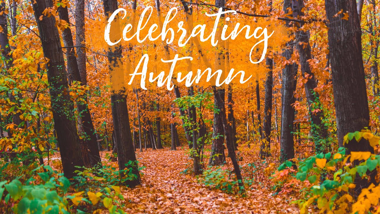 Celebrating Autumn. - YouTube