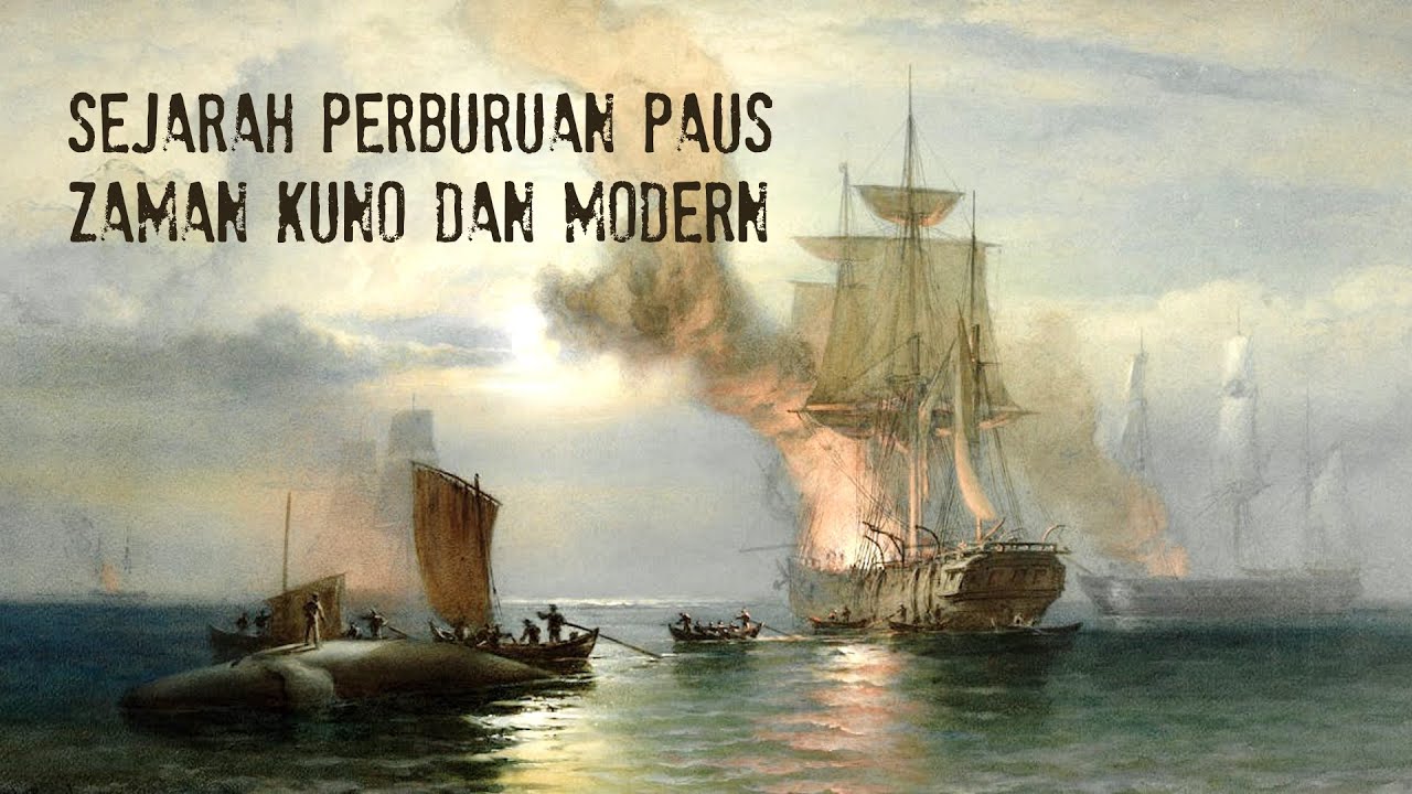 Sejarah Perburuan Paus Kuno dan Modern - YouTube