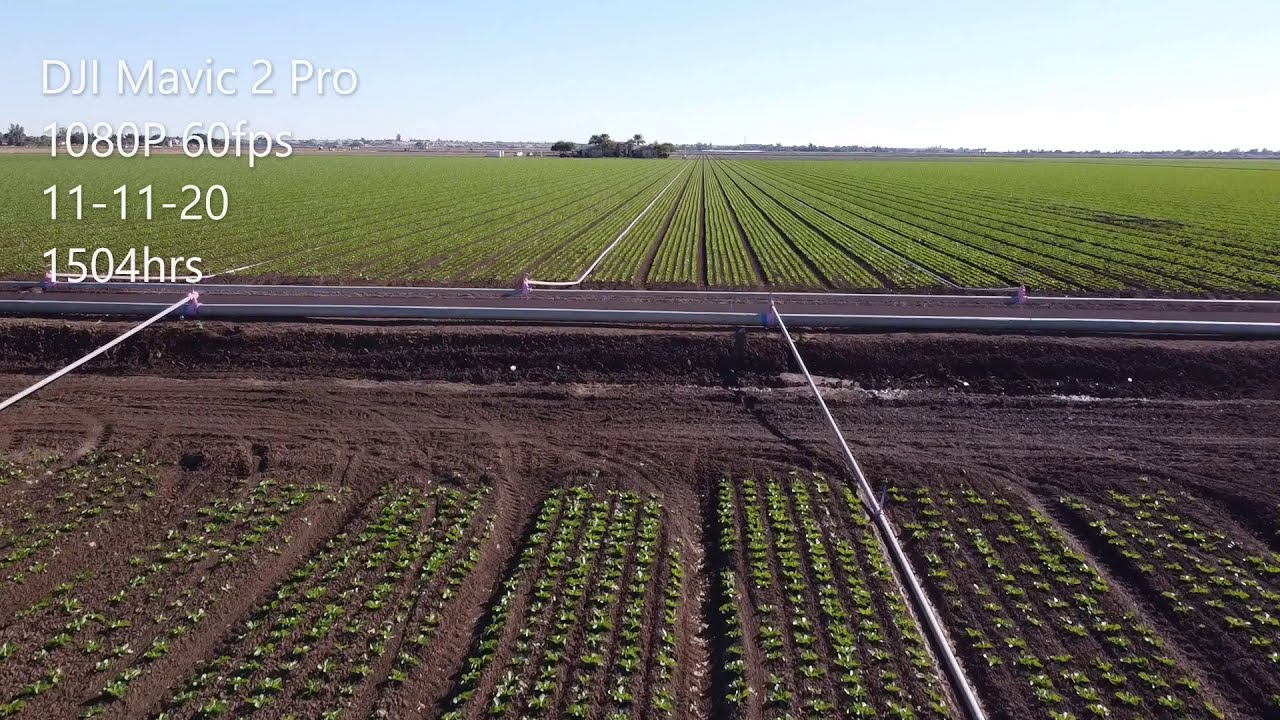 The Green Fields of Yuma, Arizona - YouTube