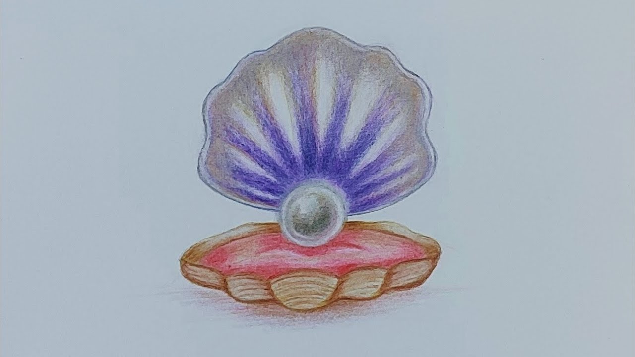 REALISTIC|| SEASHELL|| PEARL|| COLOR PENCIL SHADING - YouTube