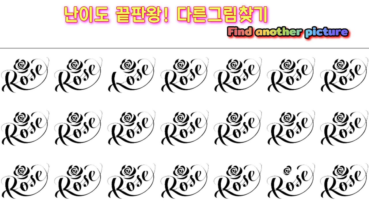 장미 글씨 그림 중 다른그림찾기집중력향상치매예방두뇌개발관찰력향상기억력향상틀린그림찾기find The