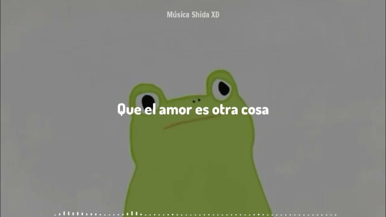 La Ranita Del Meme Nadie Te Pregunto Letra Sol Pereyra Musica Shida Xd Youtube Music