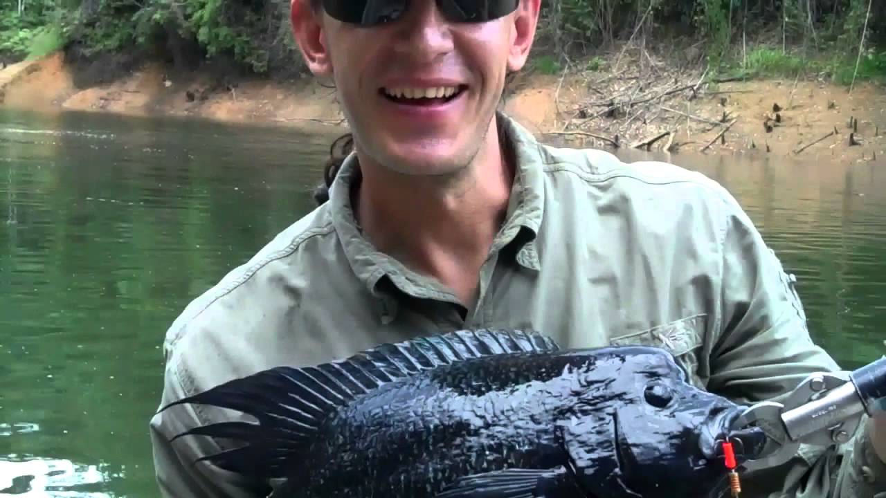 REALM OF THE UMBEE - YouTube