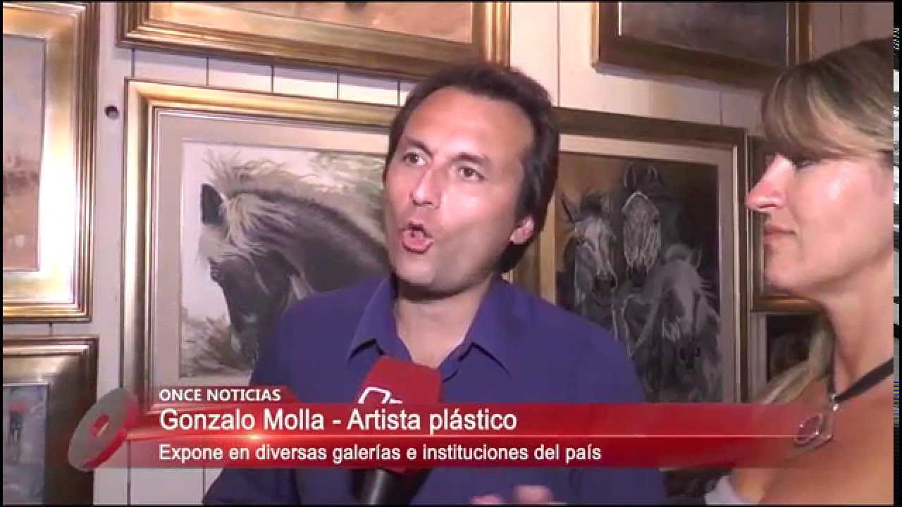 Exhibición artística de Gonzalo Molla - Alejandra Forlán 18/01/2016 ...
