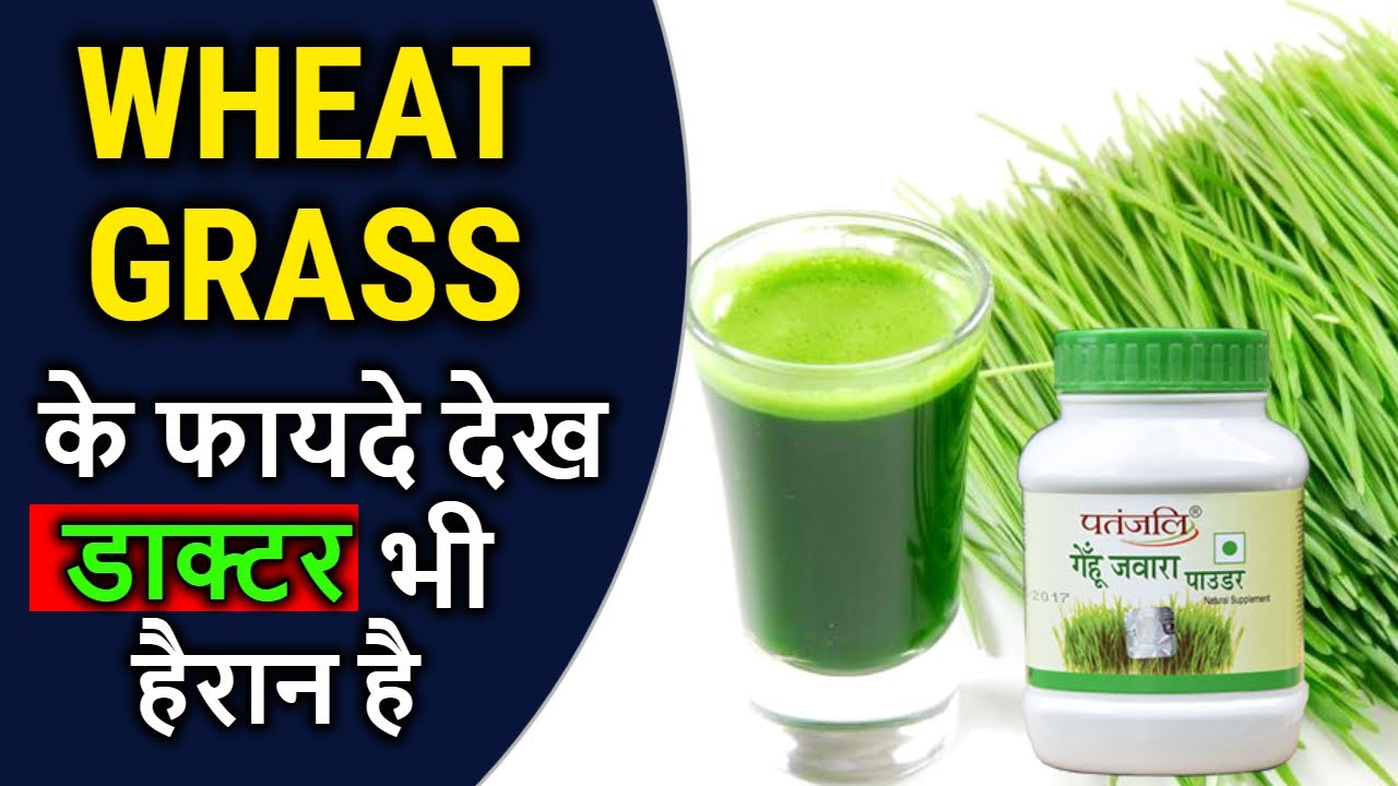 WheatGrass Benefits and Side Effects in Hindi : गेहूँ ज्वारा रस के ...