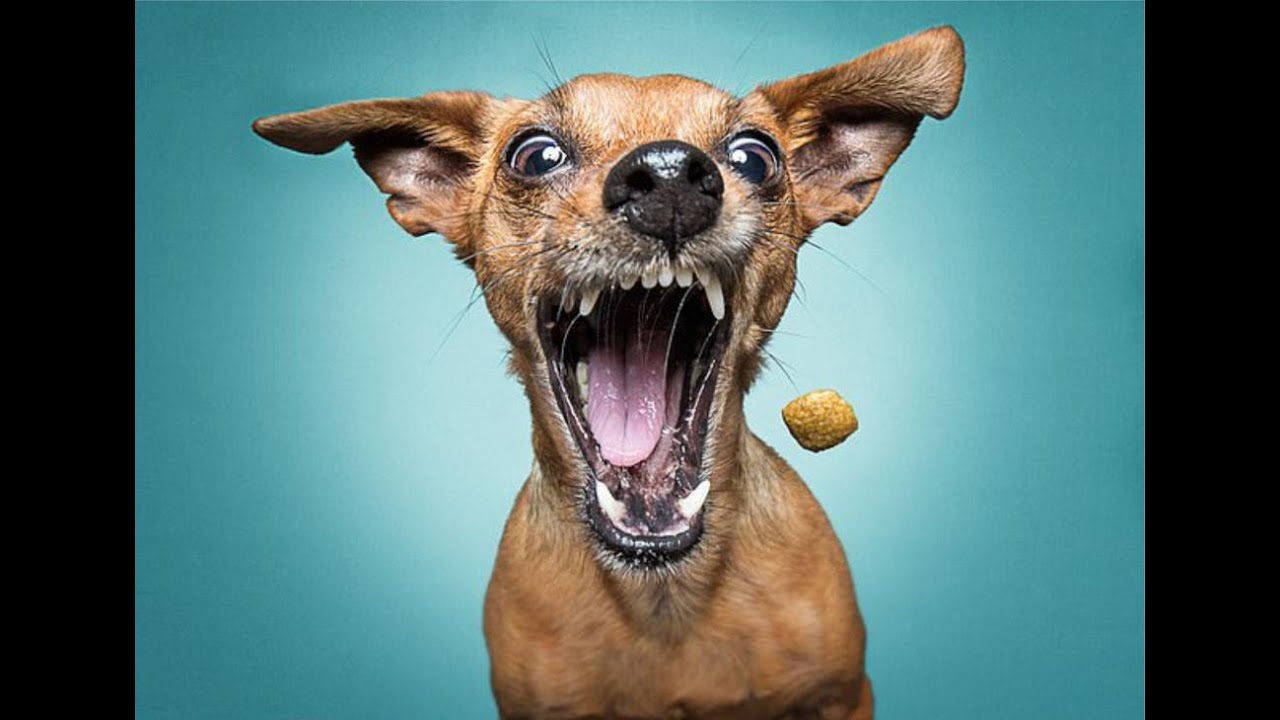 Typical day in ohio - YouTube