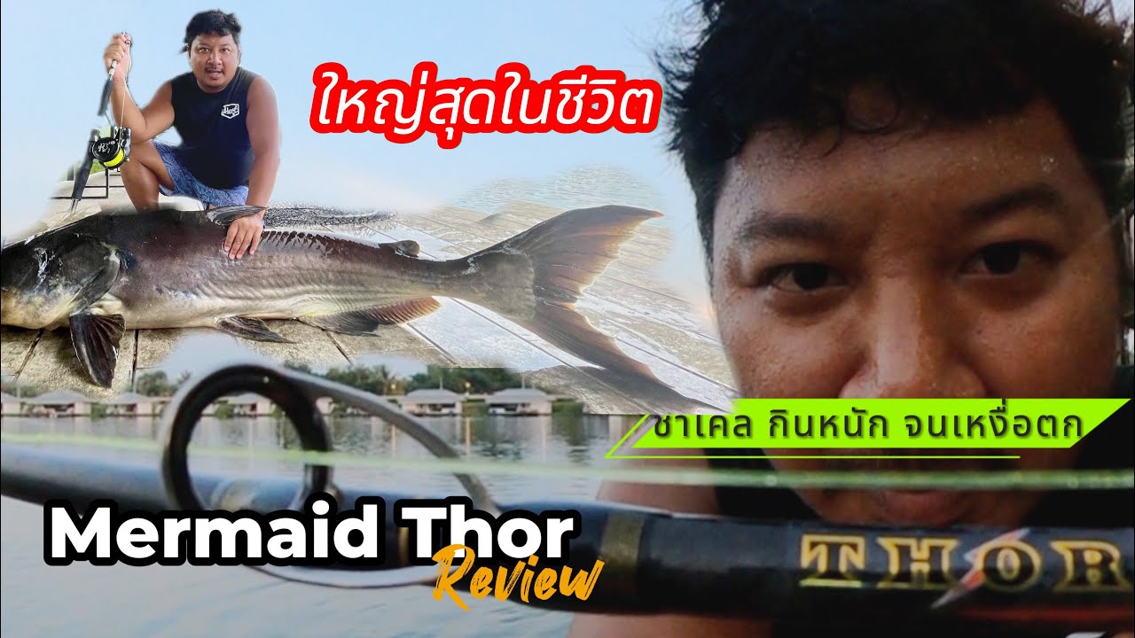 รีวิว Mermaid Thor กับ ปลาบึก ใหญ่ที่สุดในชีวิต @บึงบูรพา - YouTube