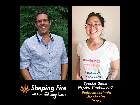 Shaping Fire Ep 78 - Endocannabinoid Mechanics with guest Miyabe ...