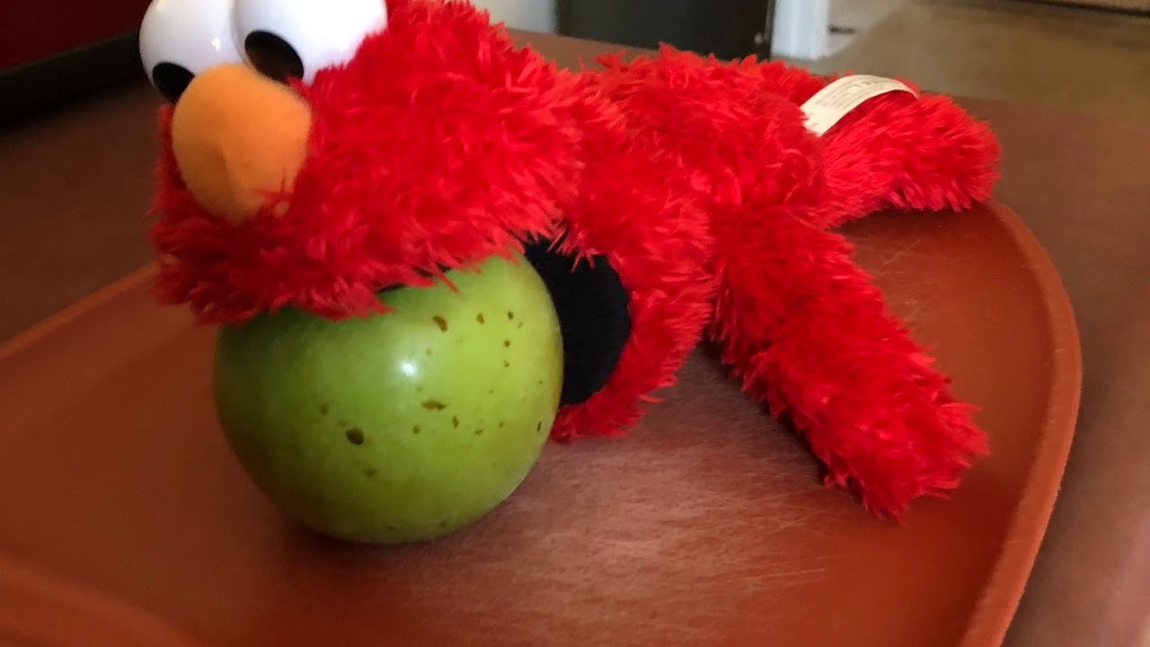 Kermit’s Kitchen - YouTube