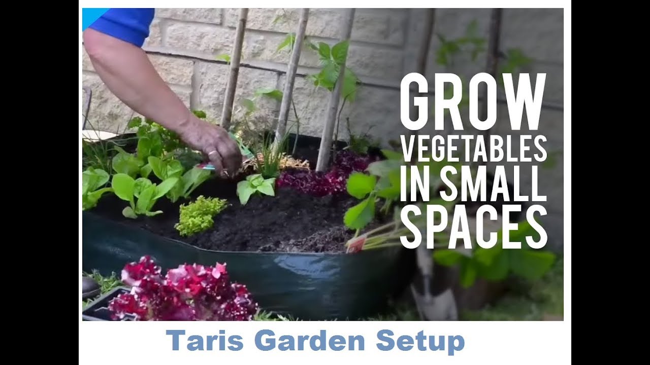 How to set up Taris Garden to grow Vegetables and Fruits Part-1 - YouTube