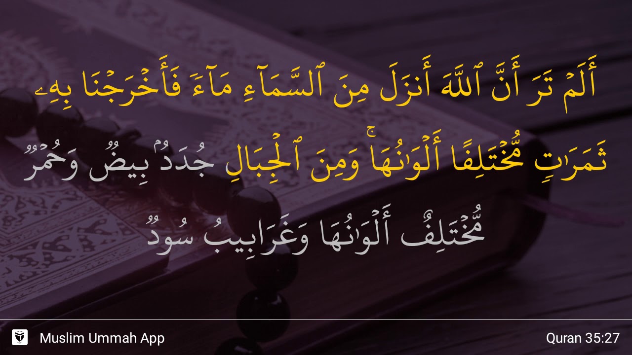 Al-Fatir ayat 27 - YouTube