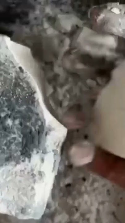 Satisfying...............ASMR That Makes You Calm Original Satisfying Videos PART - 8 @shorts ...