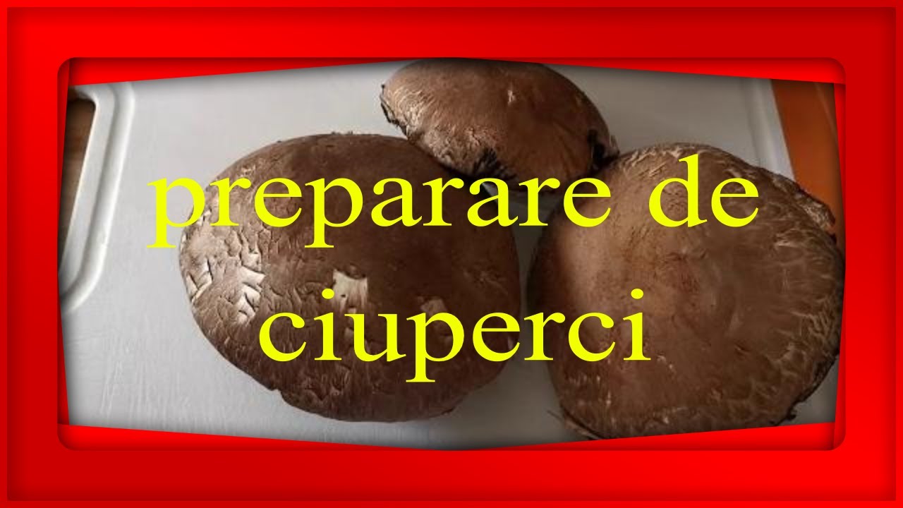 CIUPERCI. 🍄CUM LE PREGĂTIM CEL MAI SIMPLU. Mod de pregatire pas cu pas ...