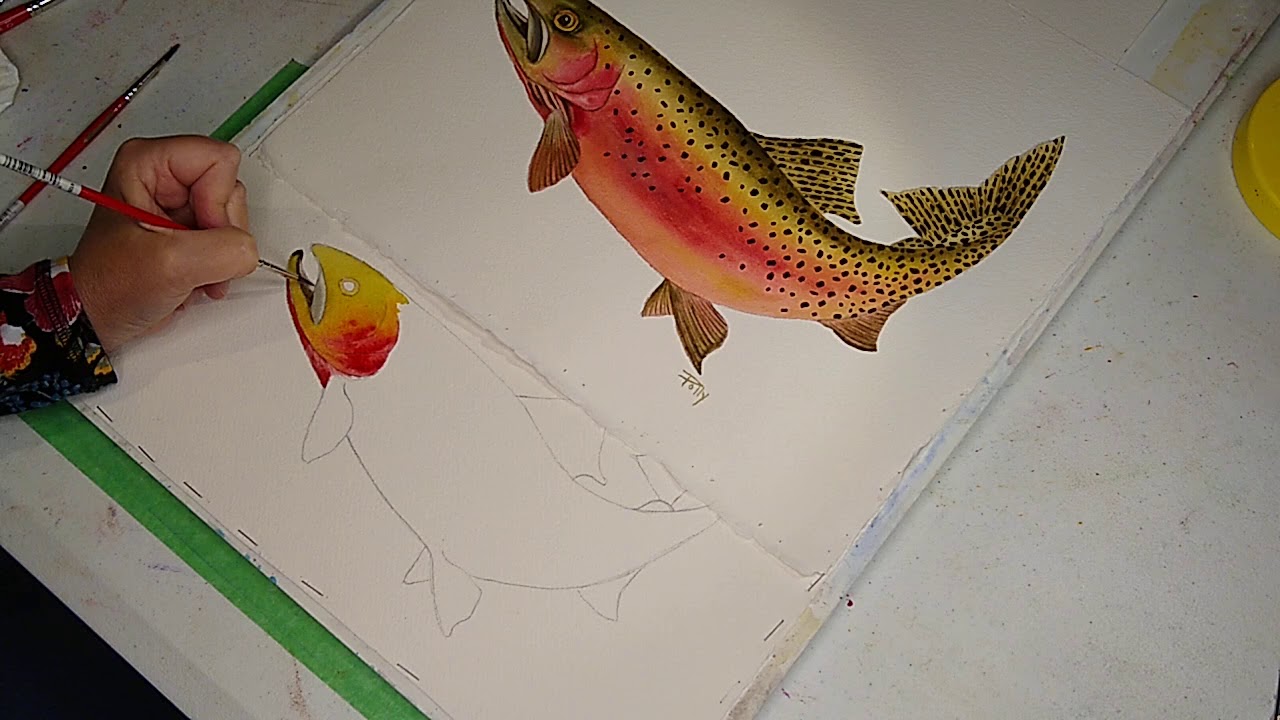 Watercolor Cutthroat Trout - Lesson 2 - Painting The Head - YouTube