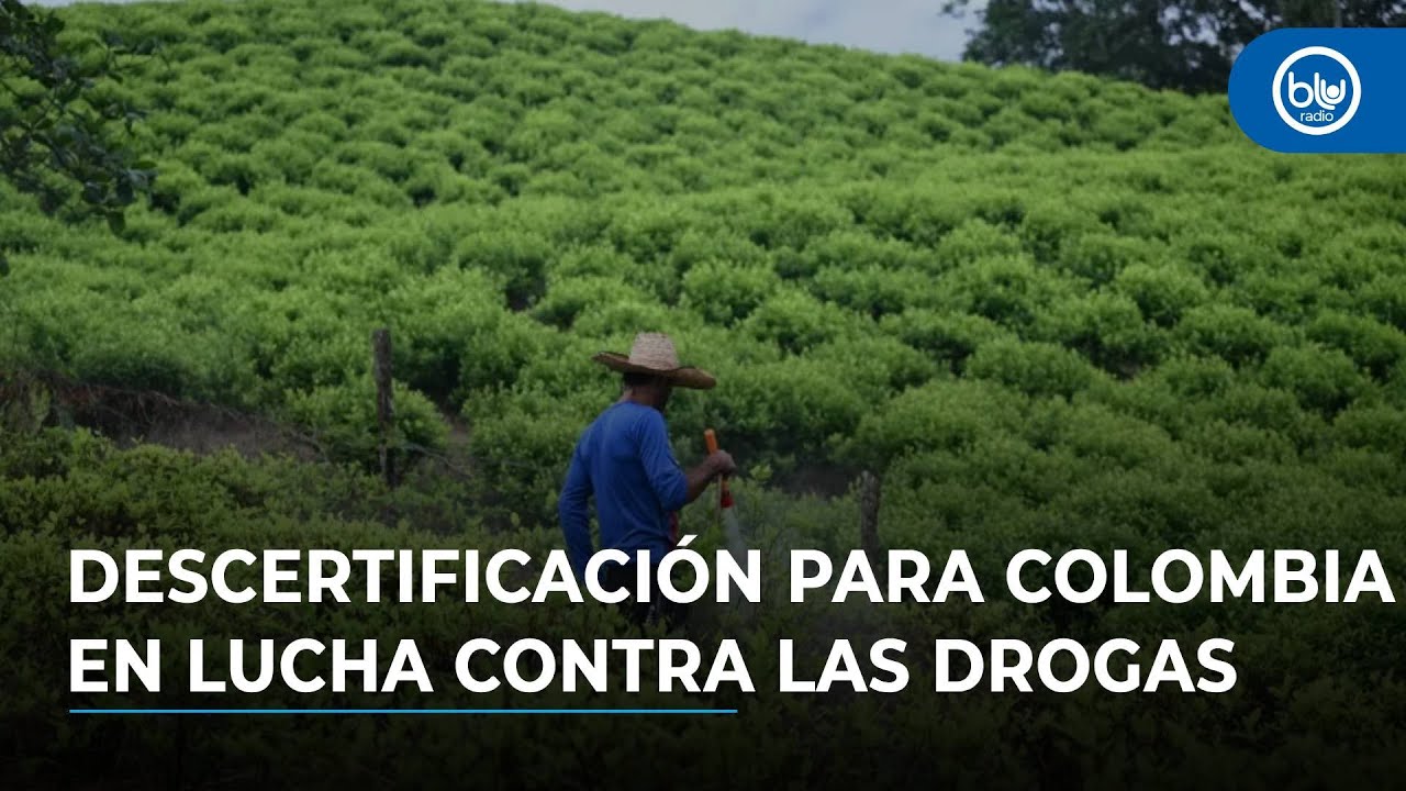 ¿La descertificación de Colombia en lucha contra las drogas está ...