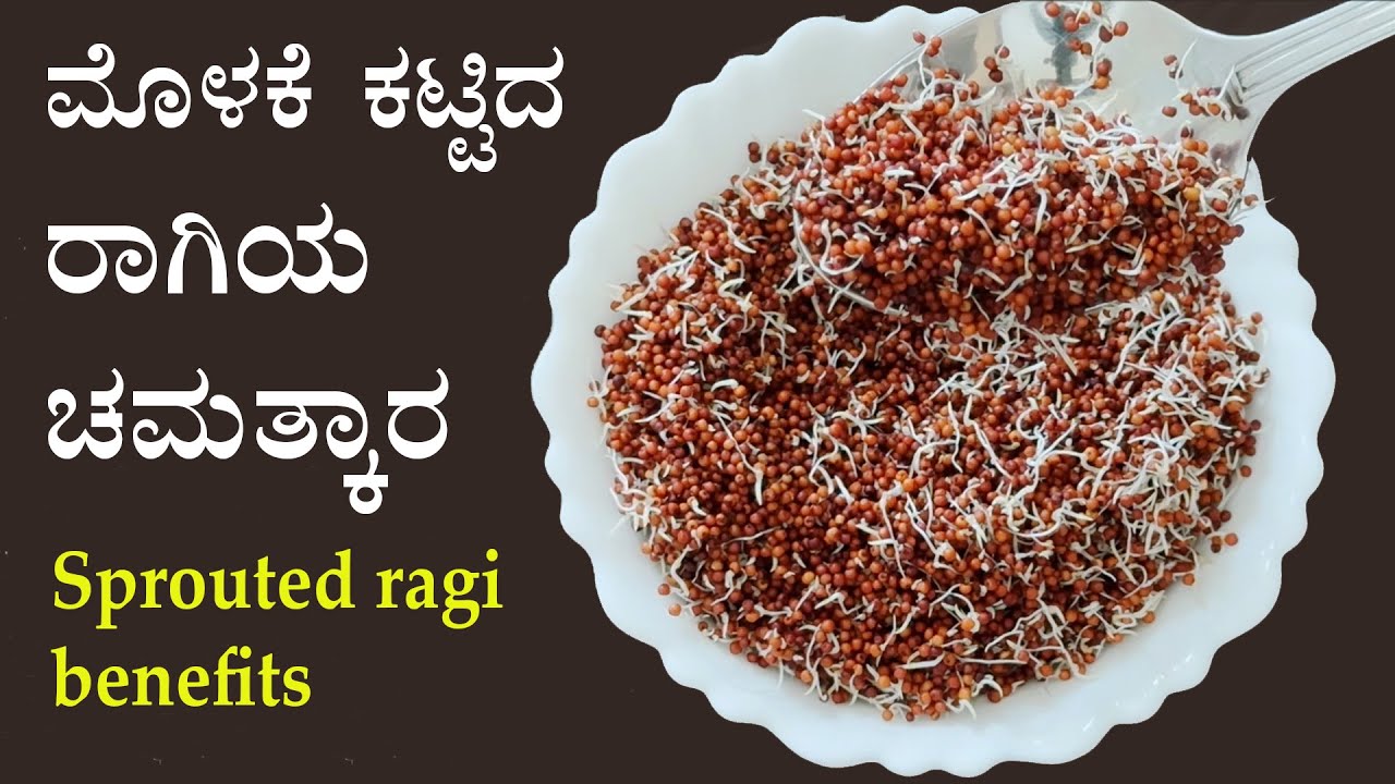 ರಾಗಿ ಮೊಳಕೆ ಕಟ್ಟಿಸಿದರೆ ಏನಾಗುತ್ತೆ ಗೊತ್ತಾ? | Ragi sprouts benefits | How ...