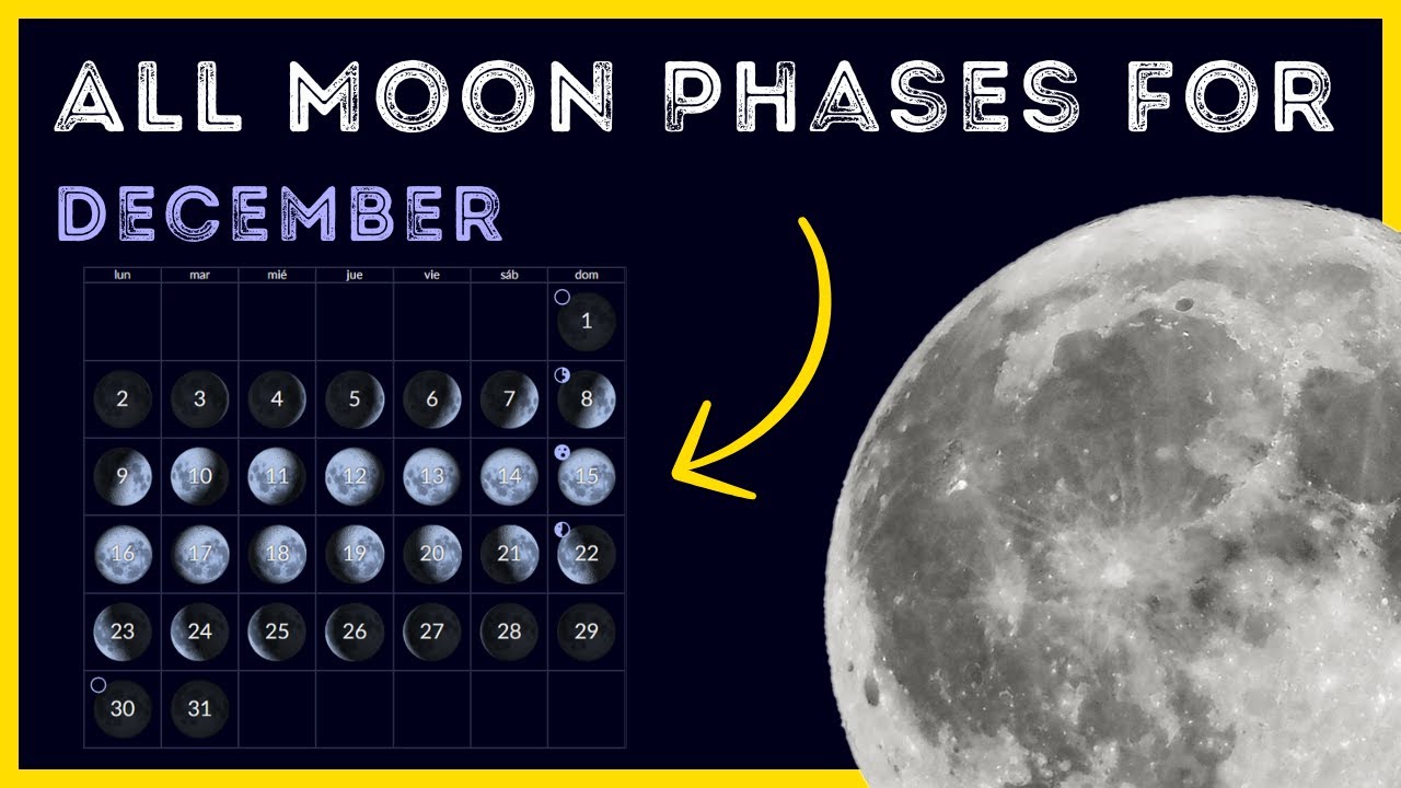 All Moon Phases for December 2024 🌕 Lunar Cycle & Daily Calendar of ...