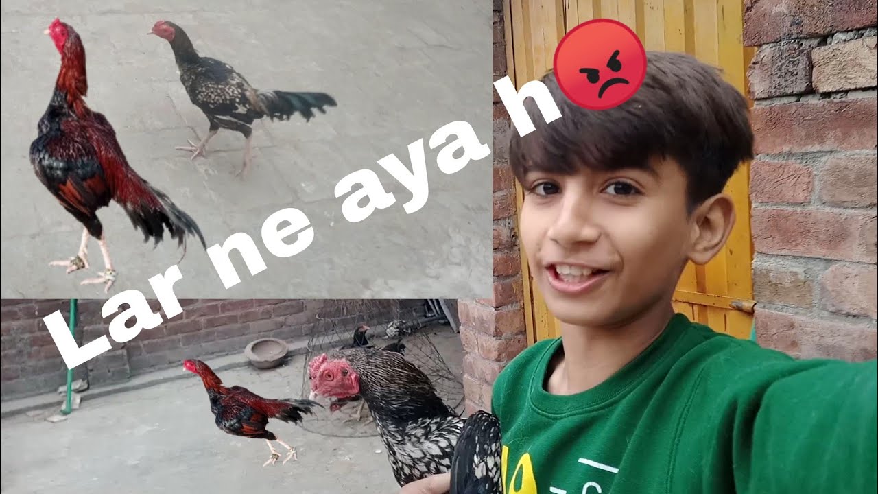 Hamary shamo ke sath fight ker ne aya h😂 - YouTube