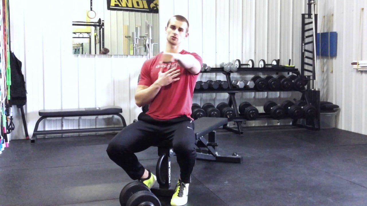 Master the Single-Arm Bench Press - YouTube