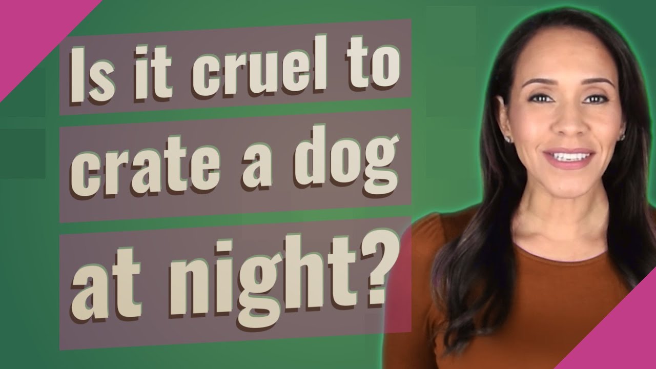 Is It Cruel To Crate A Dog At Night YouTube is-it-cruel-to-crate-a-dog-at-night-youtube