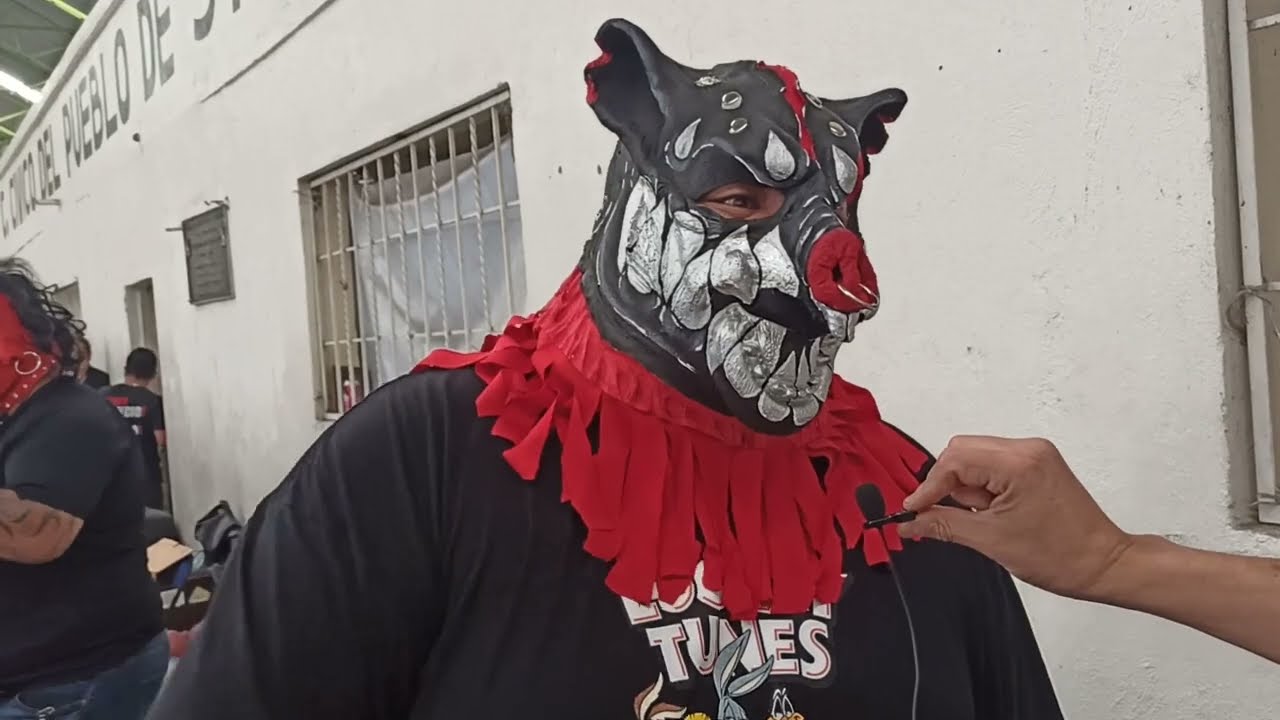 Pig Pool: " #LaPuerkizaExtrema es lo de hoy!!!" - YouTube